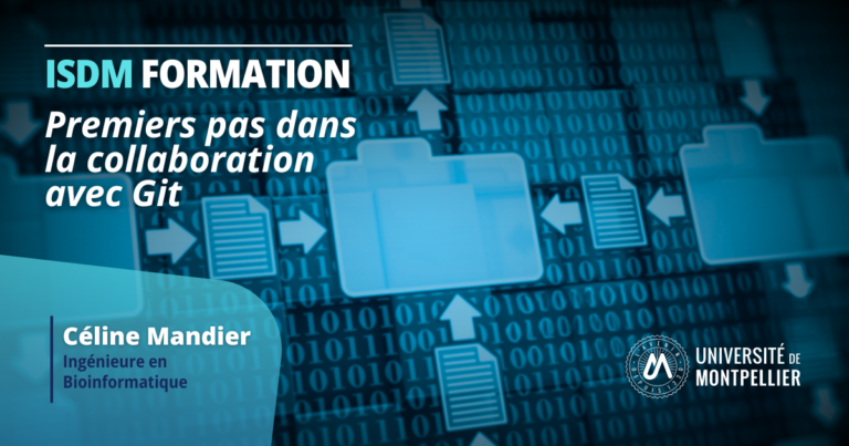 Premiers pas dans la collaboration avec Git